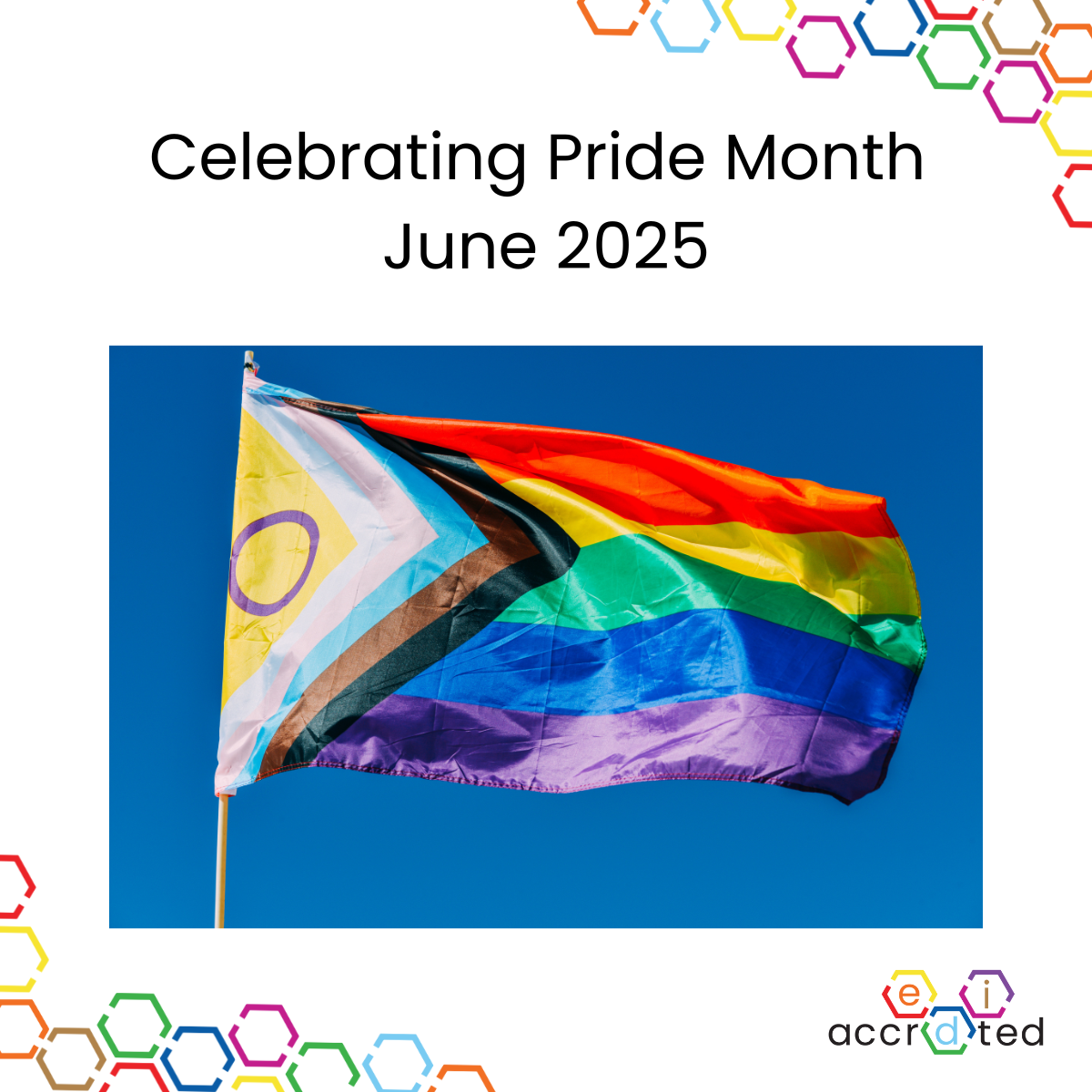Pride Month 2025: A Time to Reflect, Resist, and Rise – EDI News